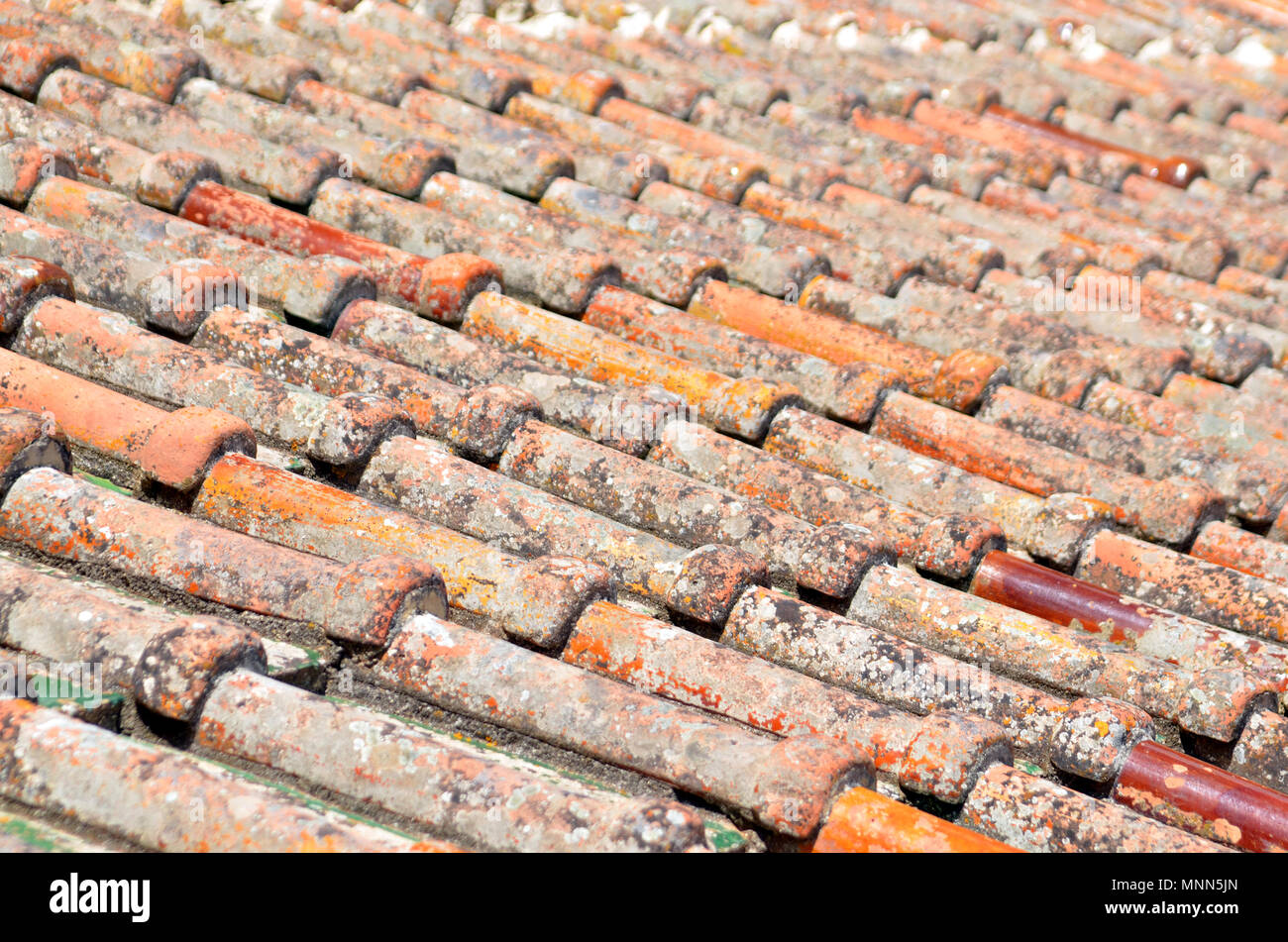 Italian roof tiles hi-res stock photography and images - Alamy