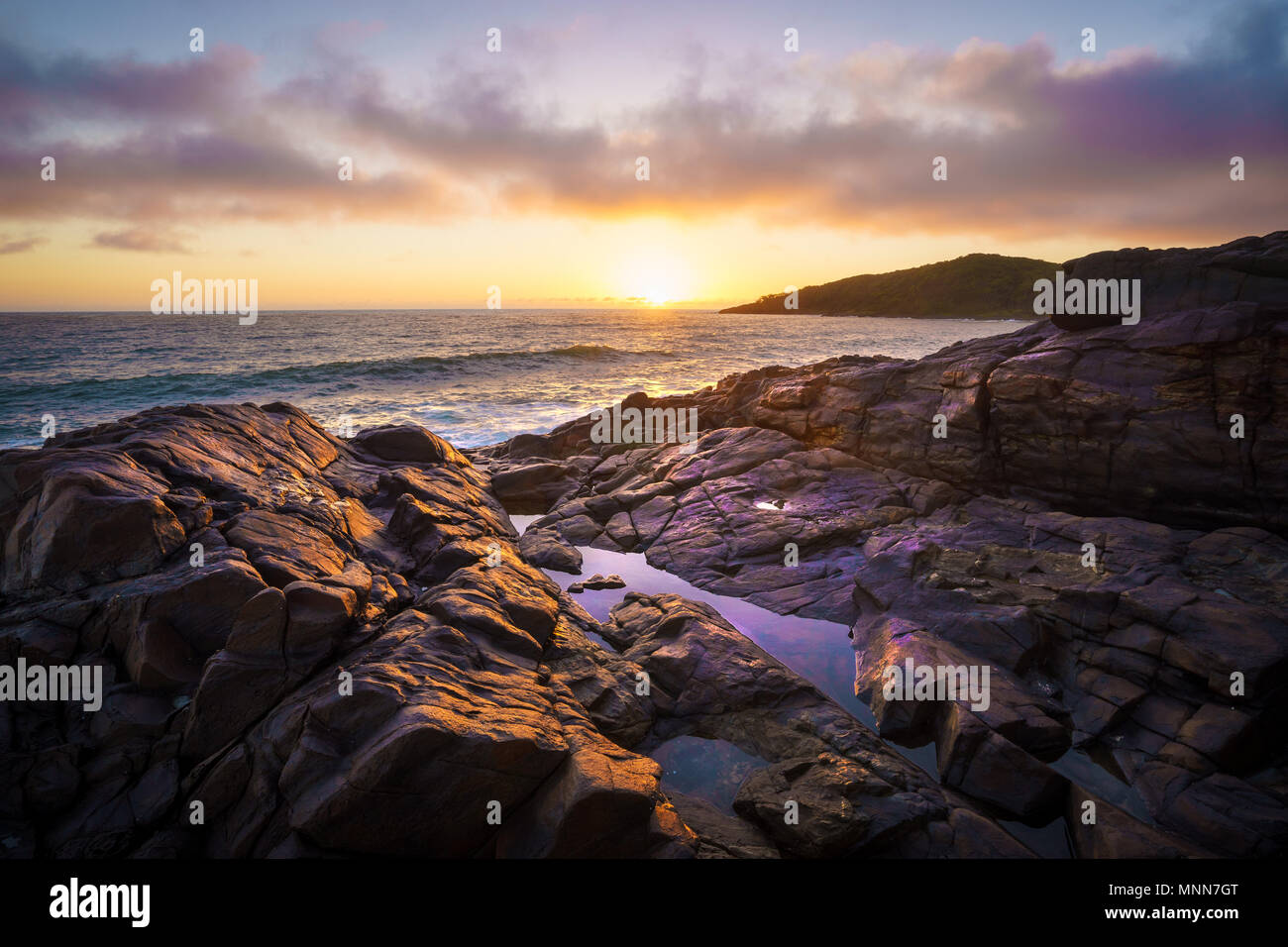 Noosa national park hi-res stock photography and images - Alamy