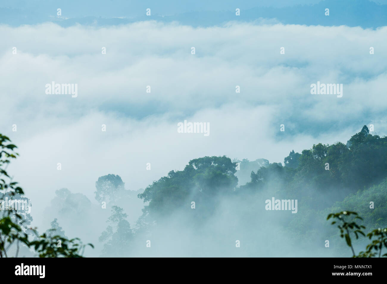 slow floating fog blowing cover on the top of mountain look like as a ...