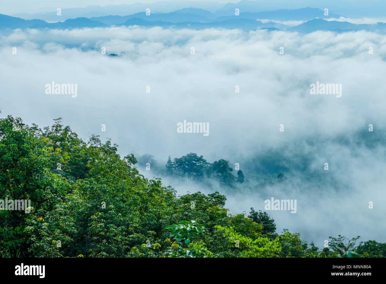 slow floating fog blowing cover on the top of mountain look like as a ...