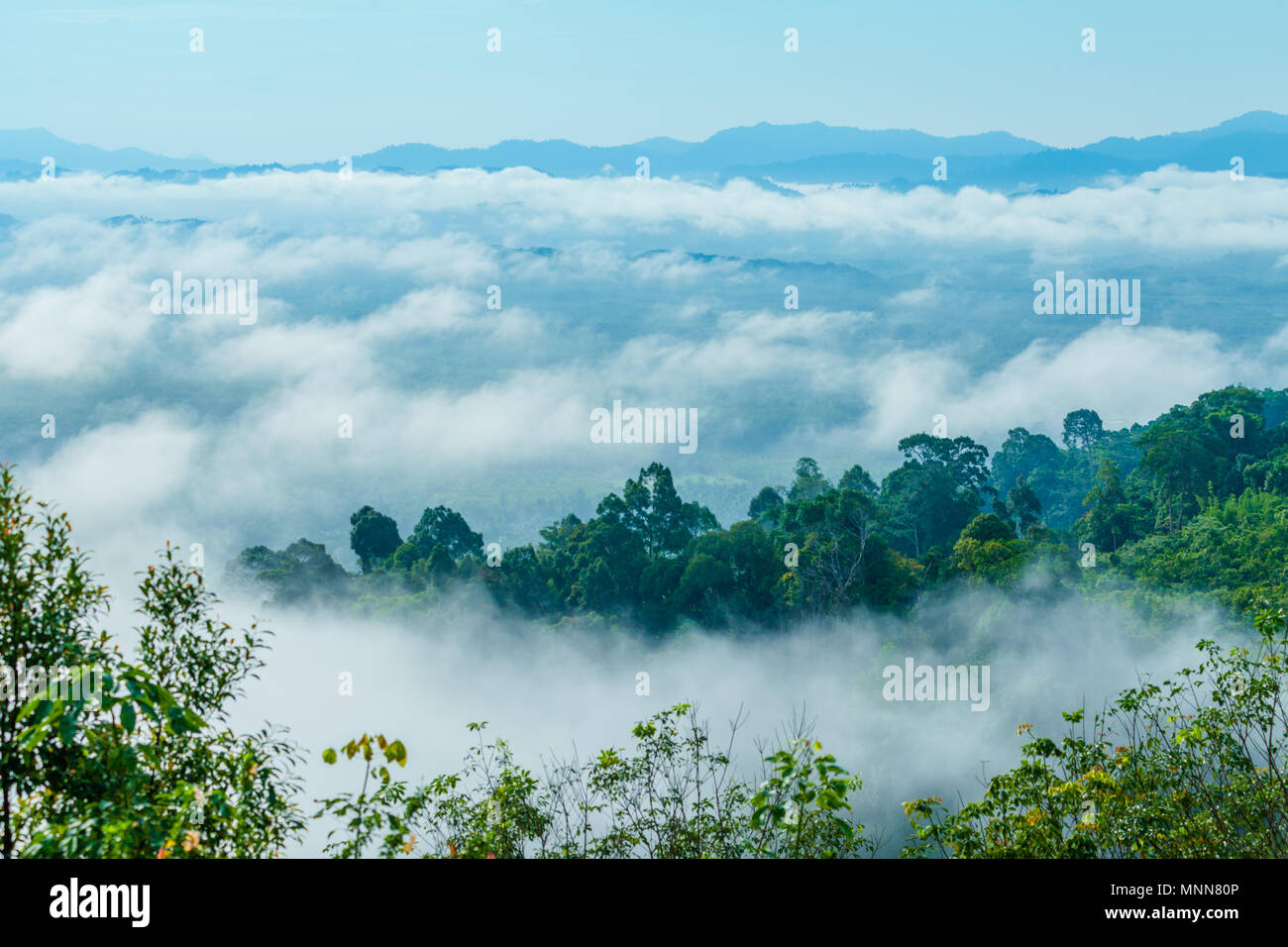 slow floating fog blowing cover on the top of mountain look like as a ...
