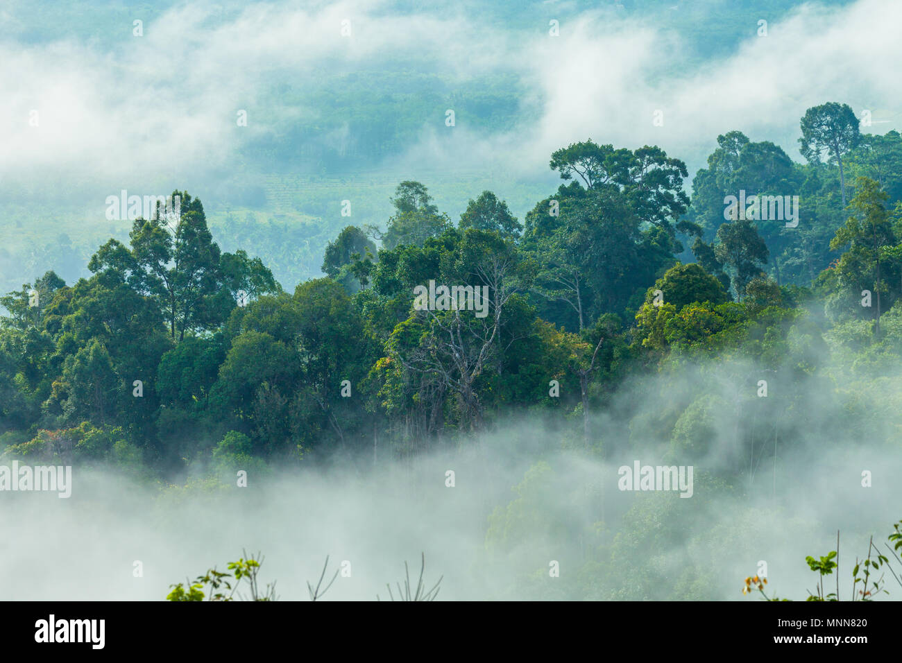 slow floating fog blowing cover on the top of mountain look like as a ...