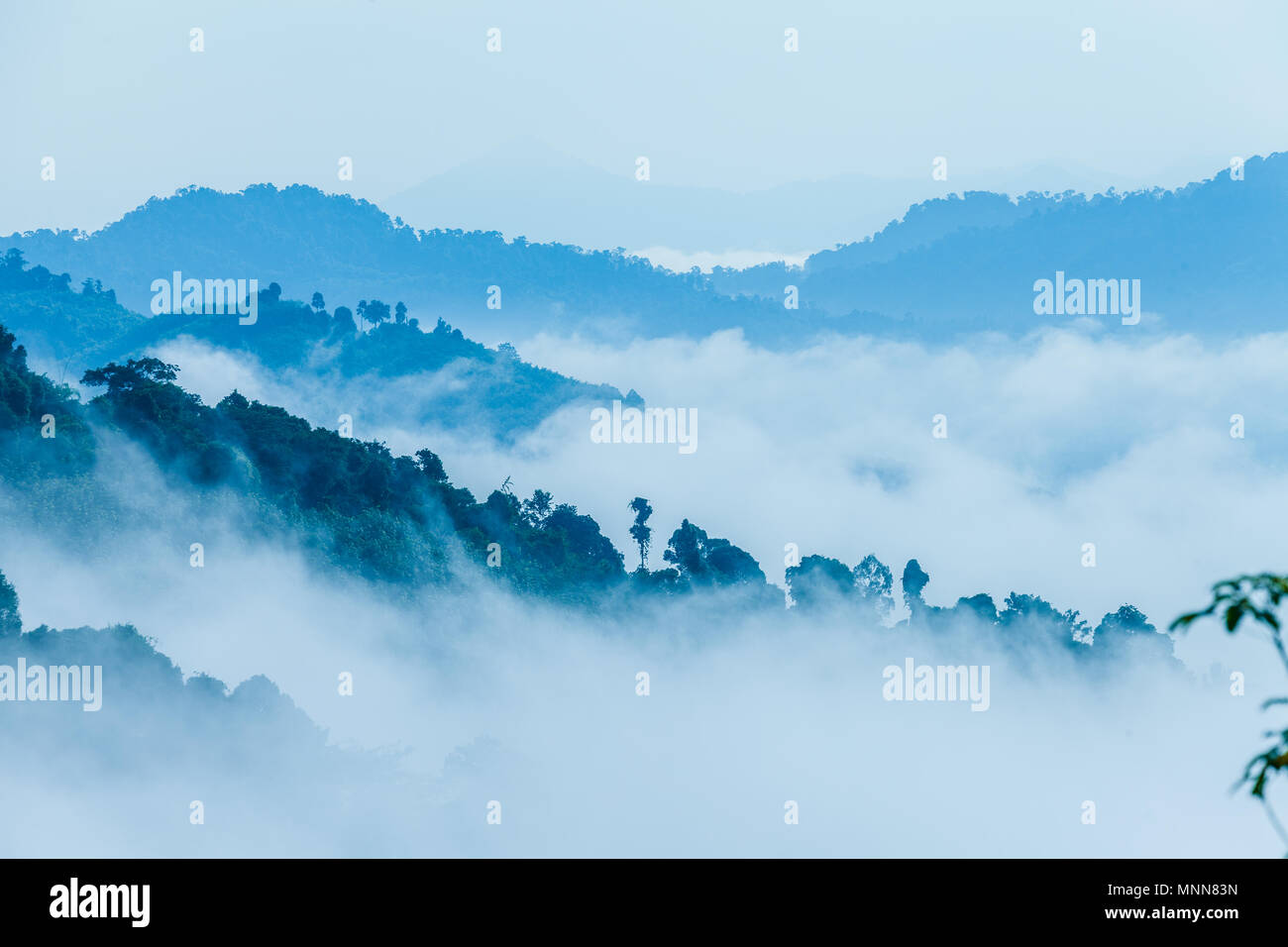 slow floating fog blowing cover on the top of mountain look like as a ...