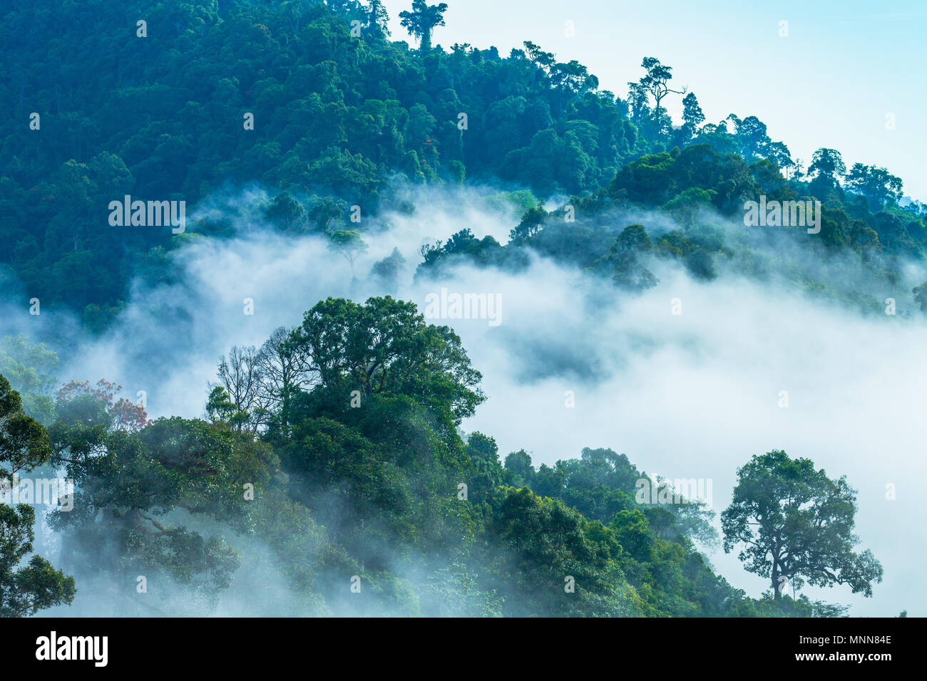 slow floating fog blowing cover on the top of mountain look like as a ...