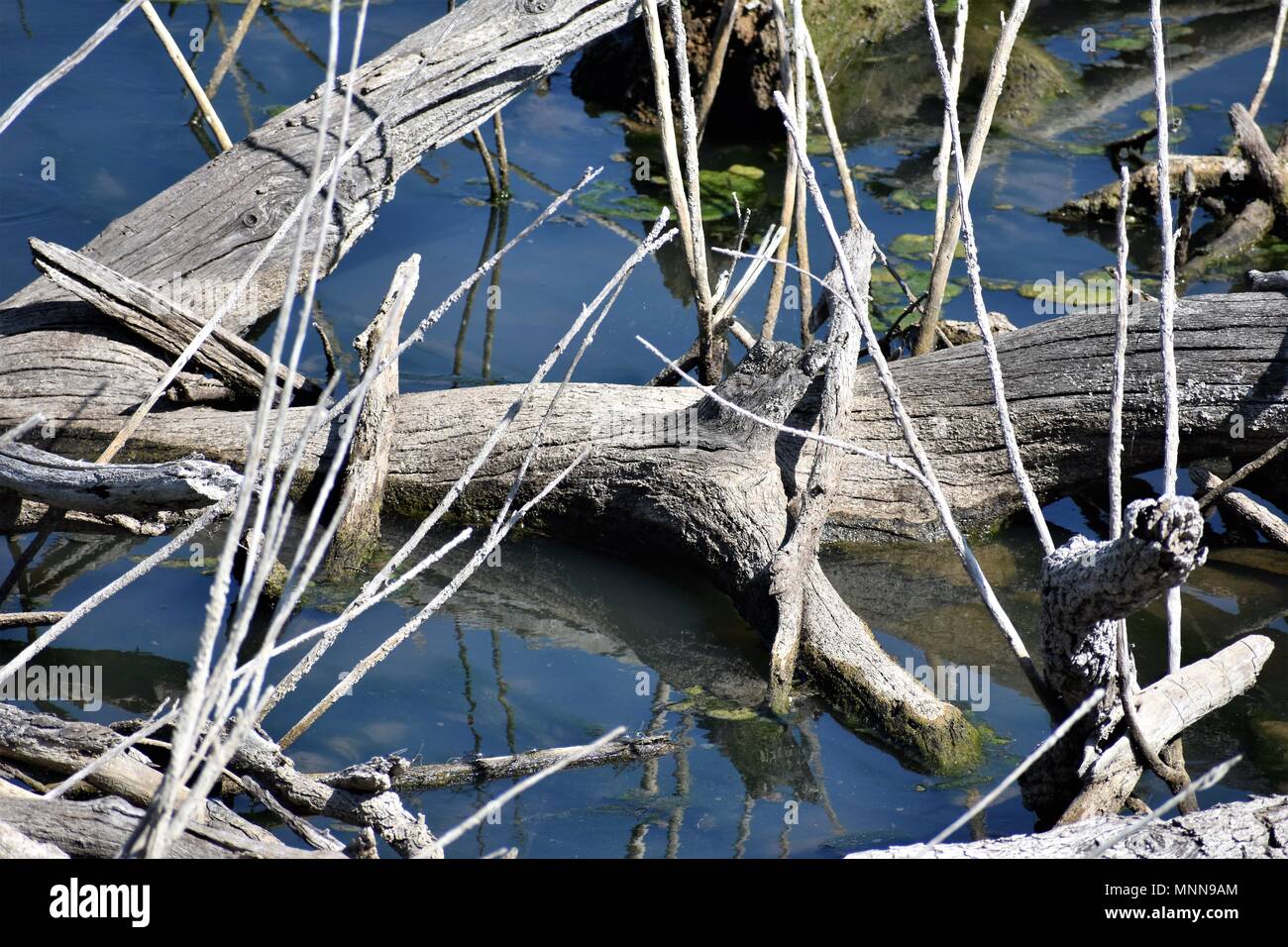 Timber dam hi-res stock photography and images - Alamy