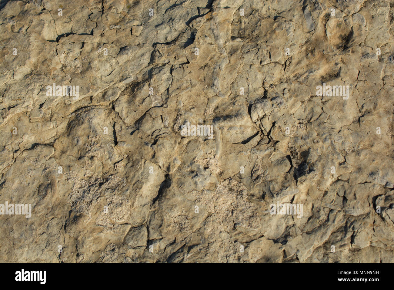 Natural rock or Stone surface as background texture Stock Photo - Alamy