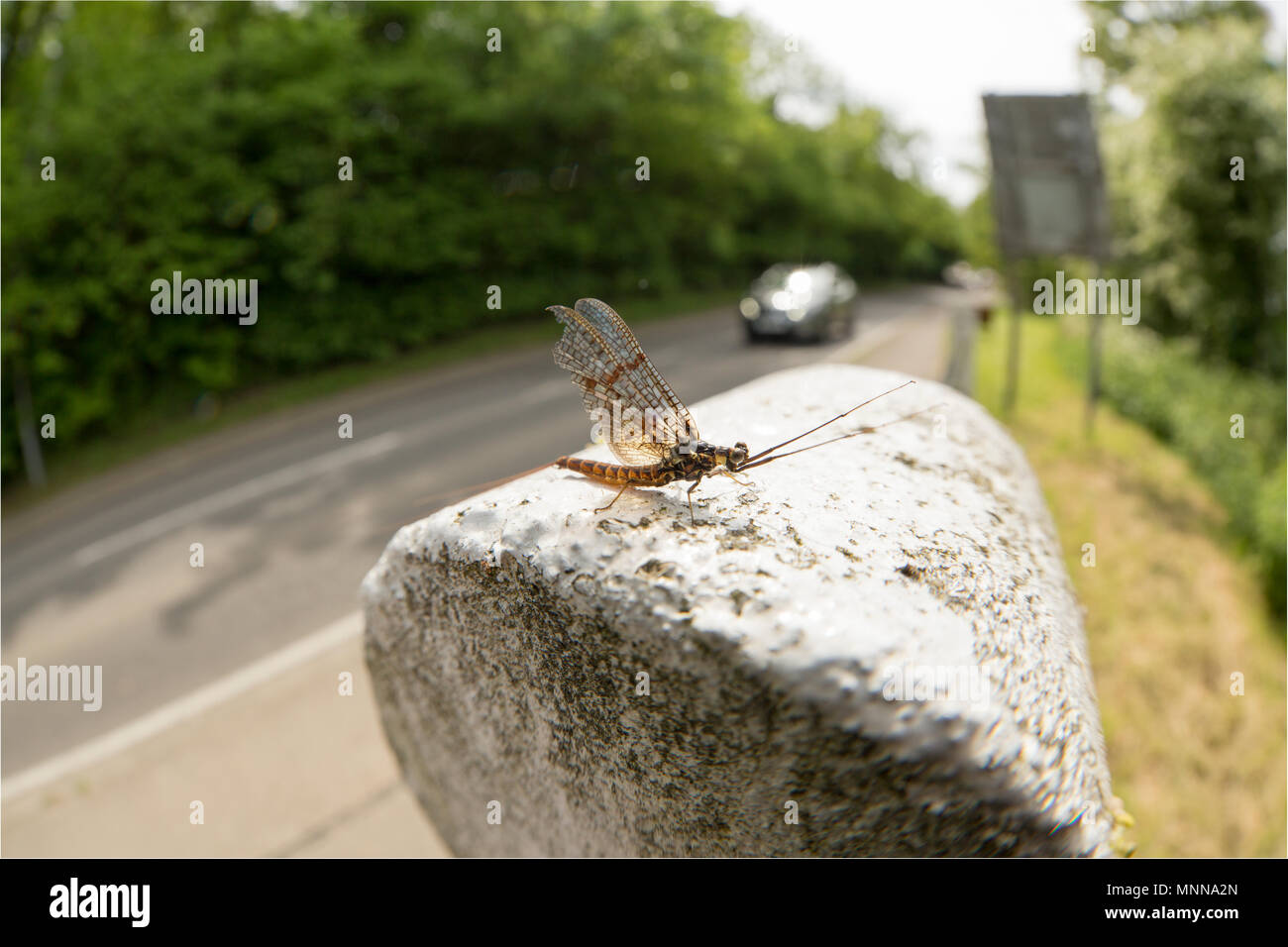 Aquatic vehicles hi-res stock photography and images - Alamy