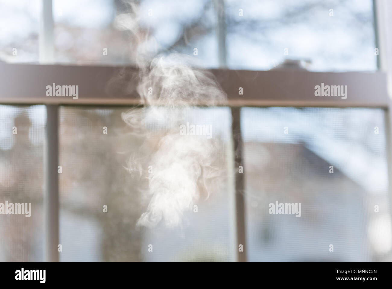 Essential oil diffuser steam mist smoke closeup, with window mesh ...