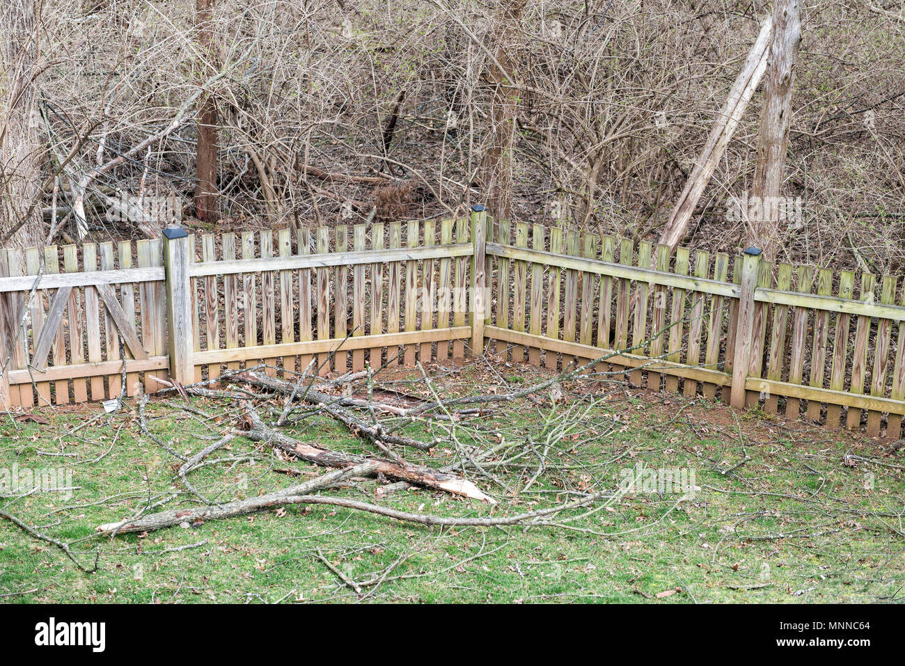 Home backyard wooden fence with many fallen tree branches after winter ...