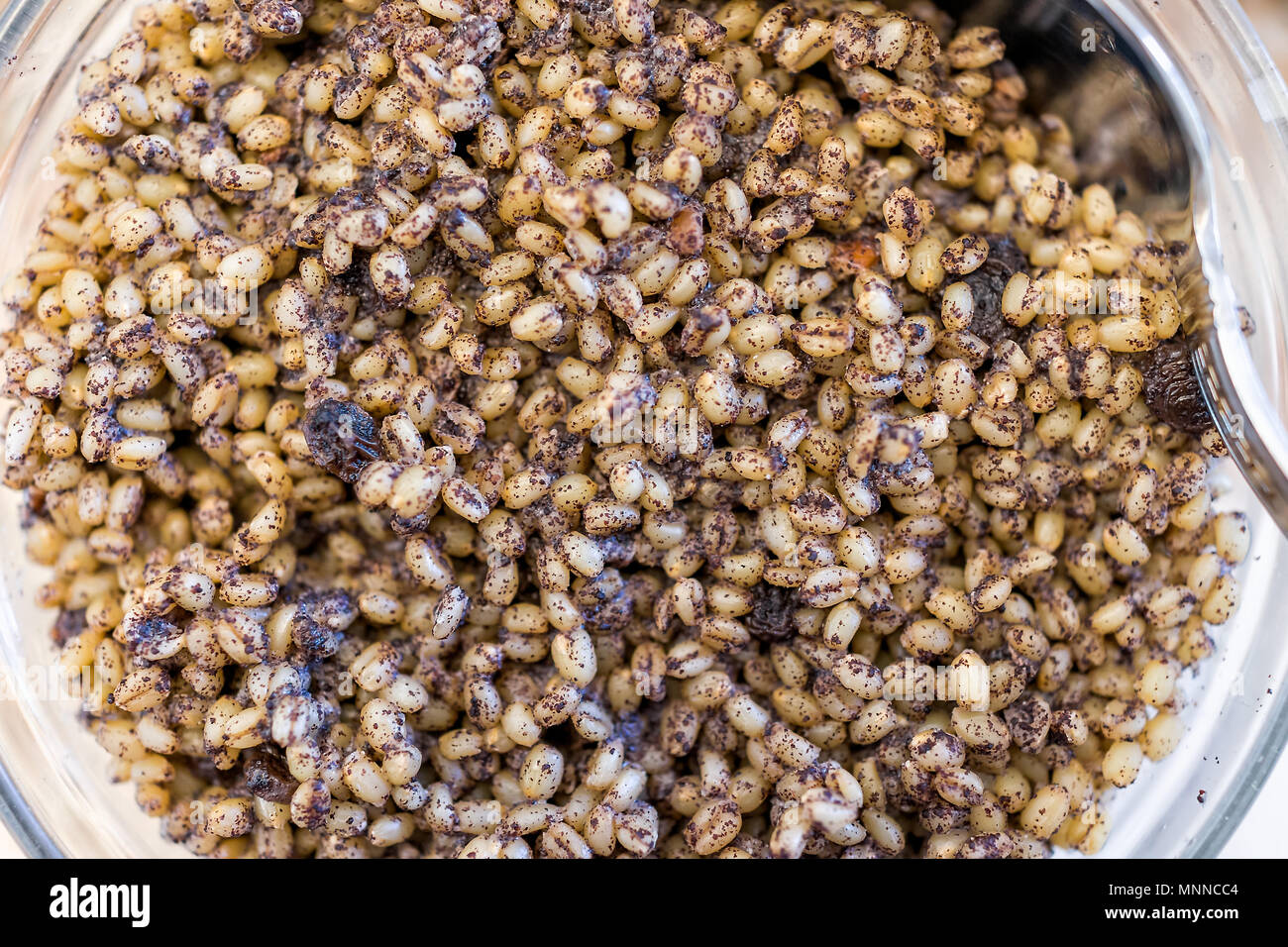 Kutja hi-res stock photography and images - Alamy