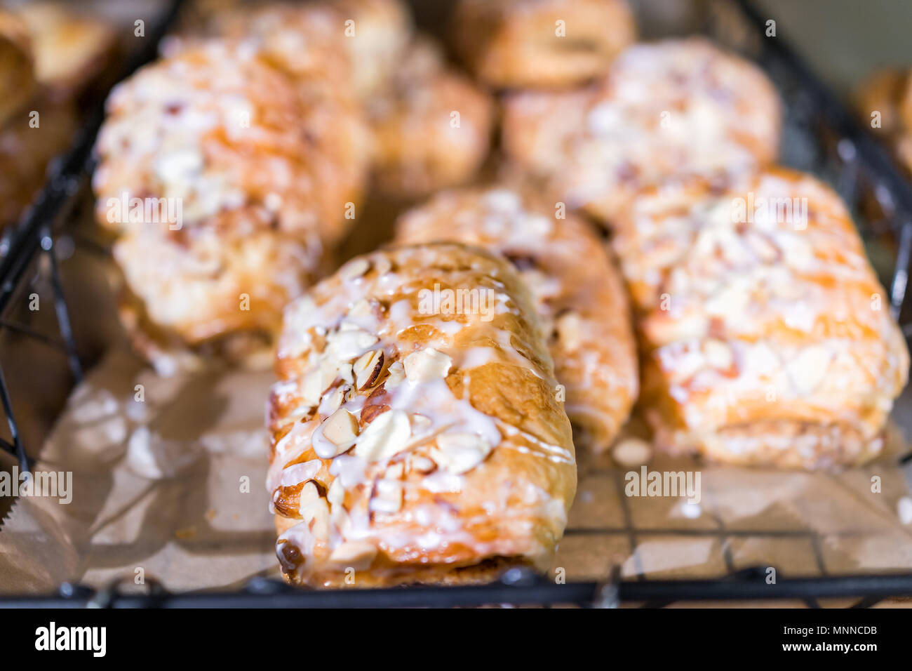 Closeup of many almond golden baked crisp croissants on shelf tray ...