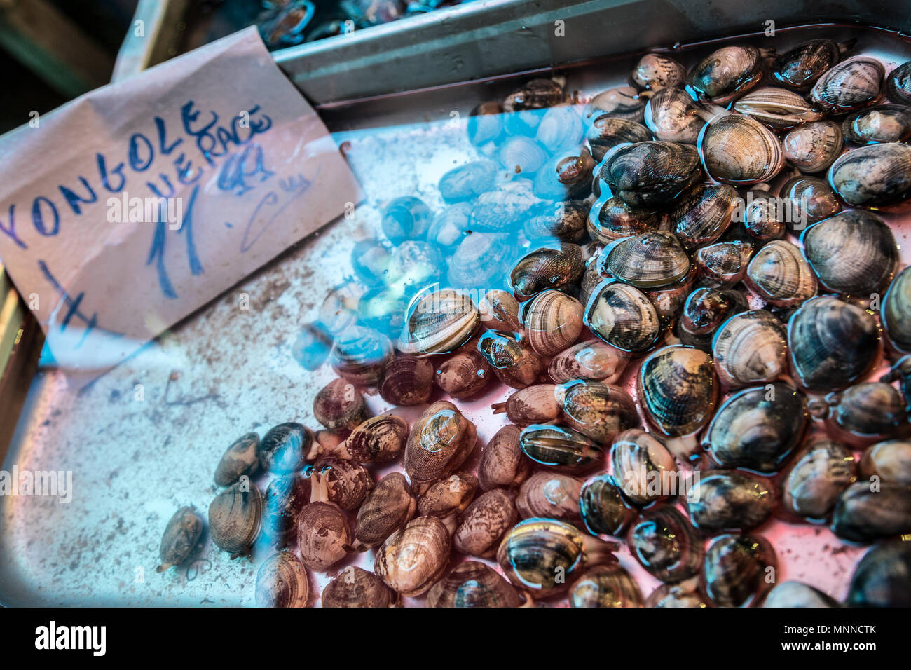 Mediterranean clam shells ready for sale on a market Stock Photo - Alamy