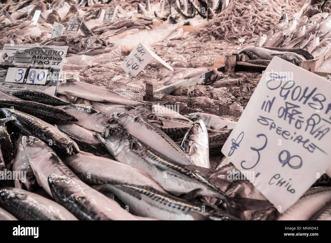 Mediterranean fresh fish selection ready for sale on a market in Sicily ...