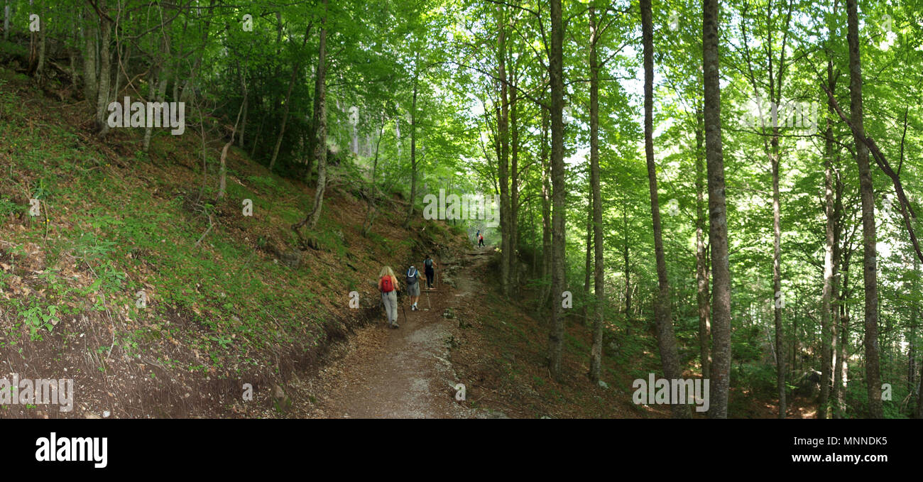 Monopati hi-res stock photography and images - Alamy