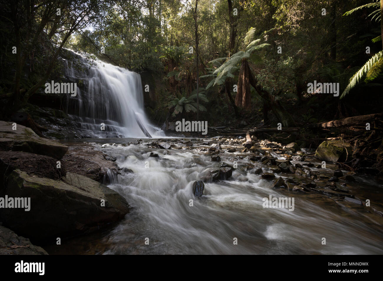 Waterfall cascade tasmania hi-res stock photography and images - Alamy