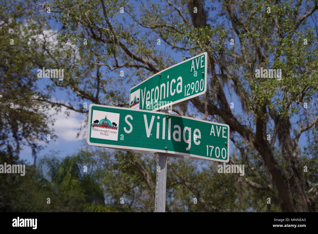 Tampa, Florida / USA - May 5 2018: Veronica Avenue and South Village ...