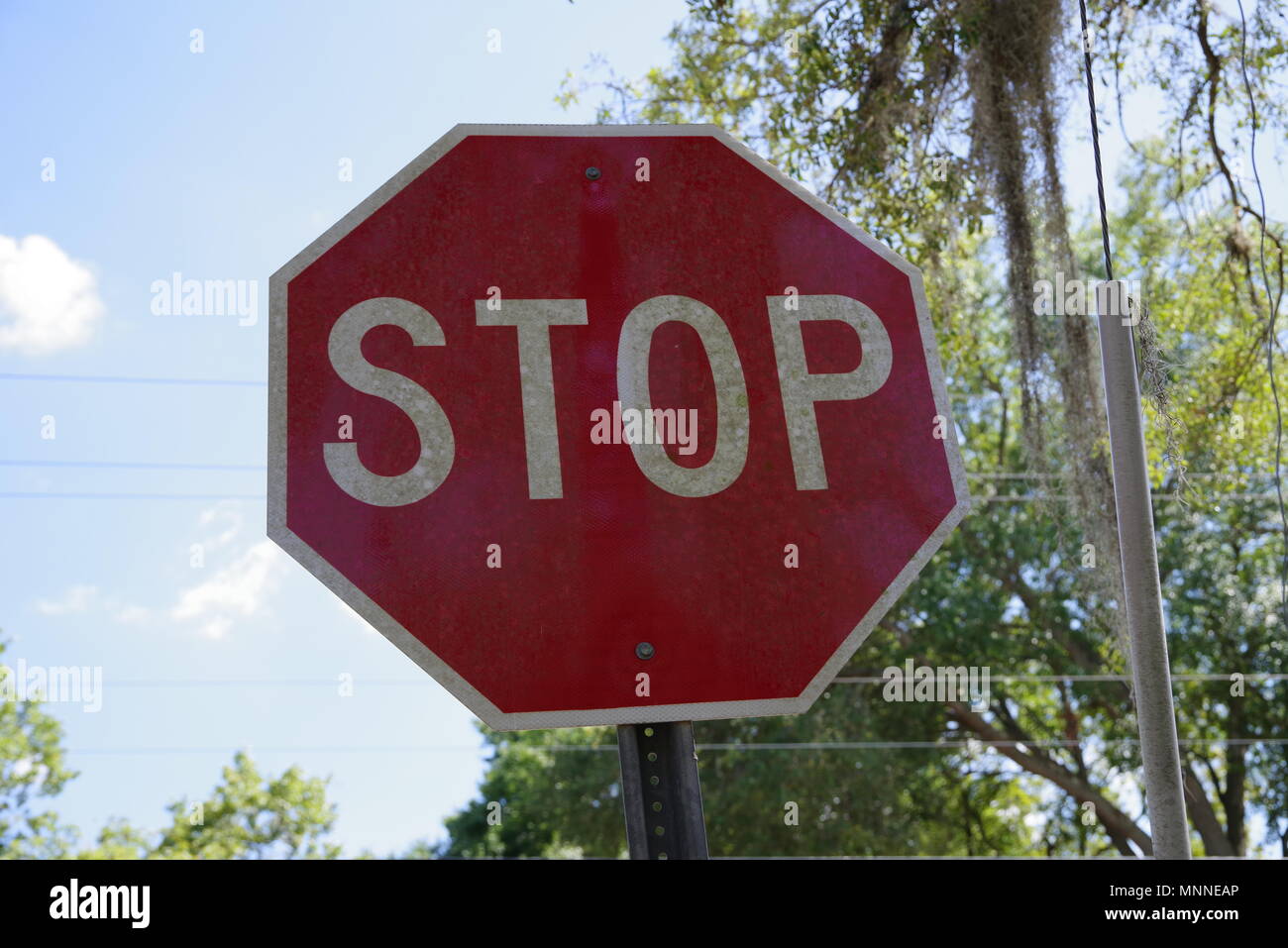 Tampa, Florida / USA - May 5 2018: Aluminum Stop Sign Stock Photo - Alamy