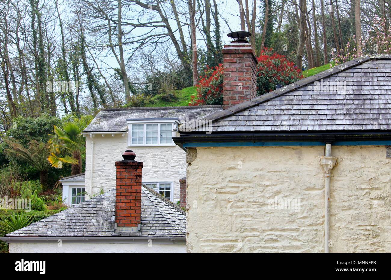 Old red brick chimney stacks on slate roofed buildings, with plants and ...