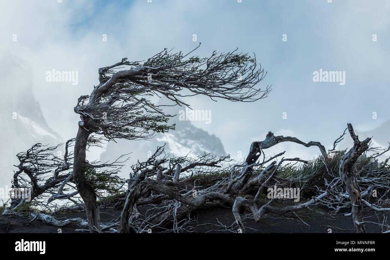 Extreme suffering hi-res stock photography and images - Alamy