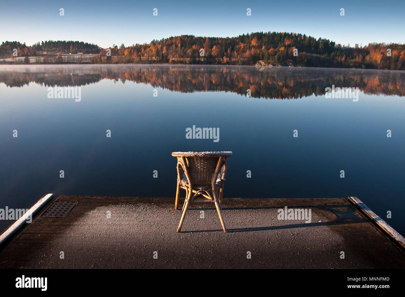 Chair forest lake nature hi-res stock photography and images - Alamy
