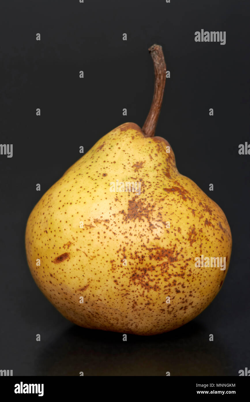 an organic pear on black background Stock Photo - Alamy