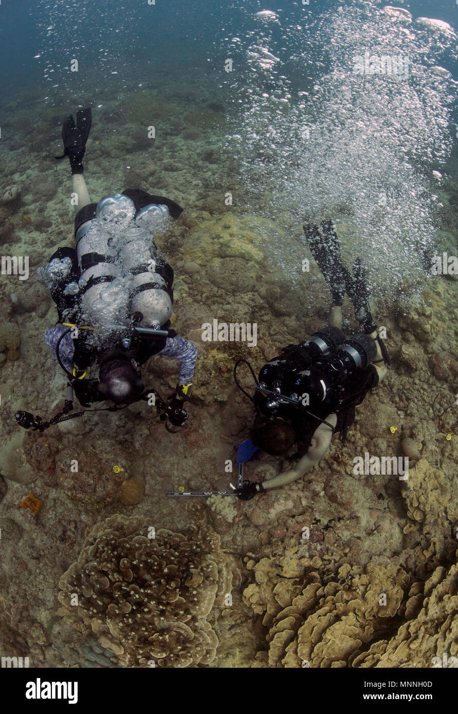 Navy Diver 2nd Class Nicholas Barcia-Dimeo, right, assigned to the ...