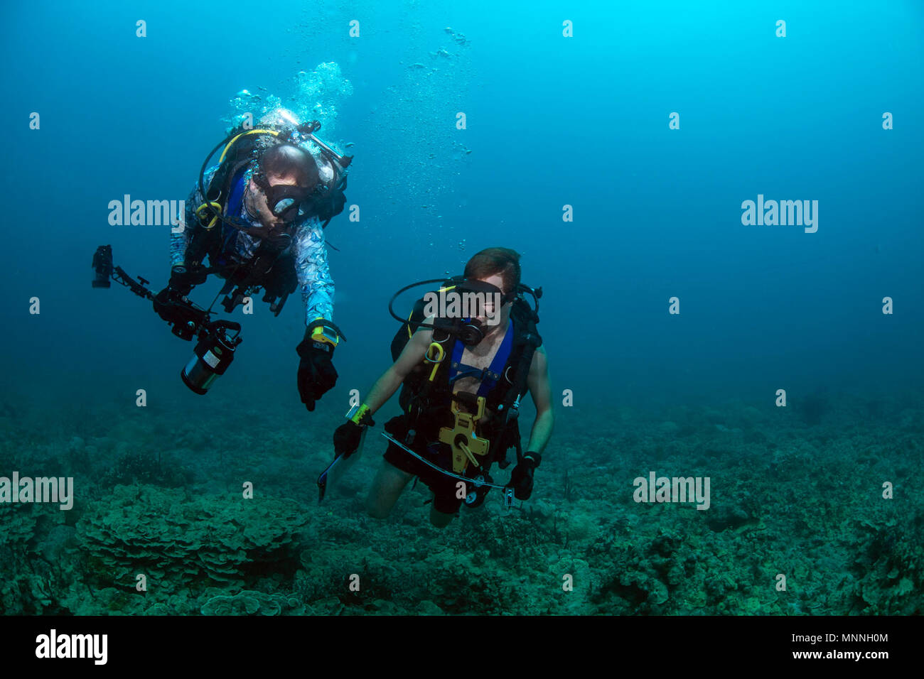Dr. Lee Shannon, left, a marine ecologist with the Naval Facilities ...