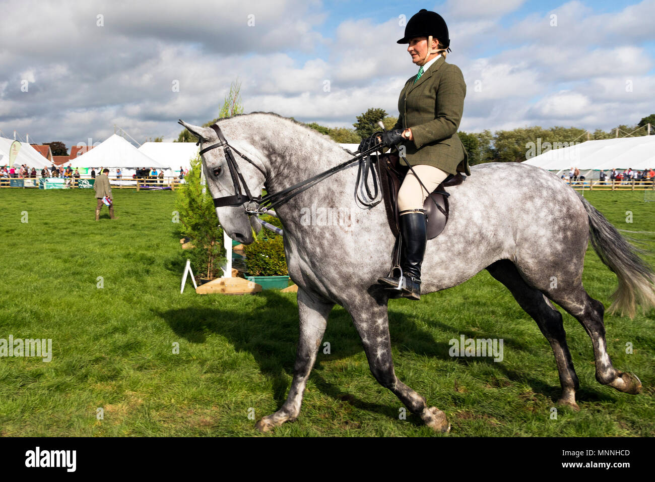 Female rider and horse at equestrian display, Stokesley Show, North ...
