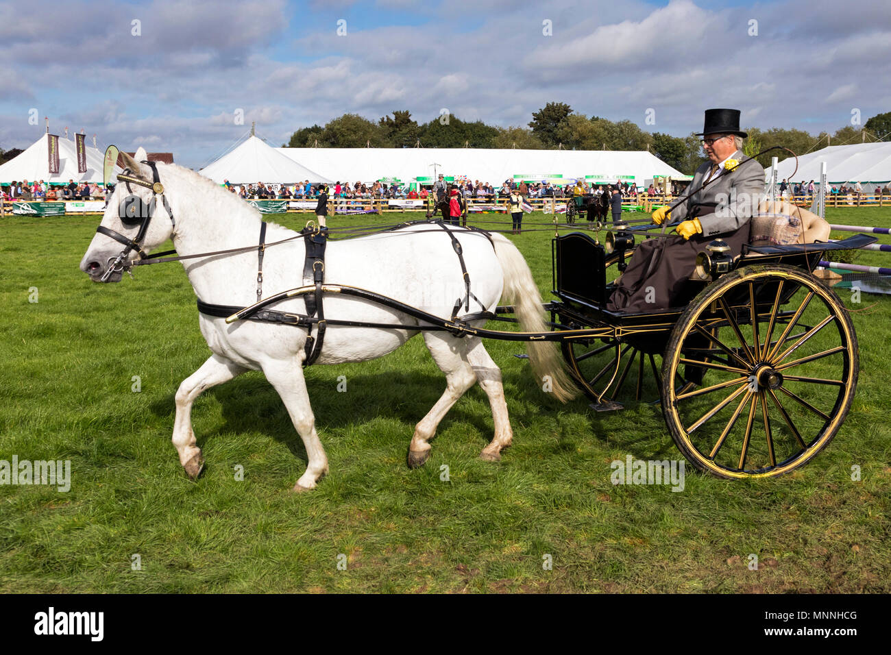 Rider equestrian england hi-res stock photography and images - Alamy