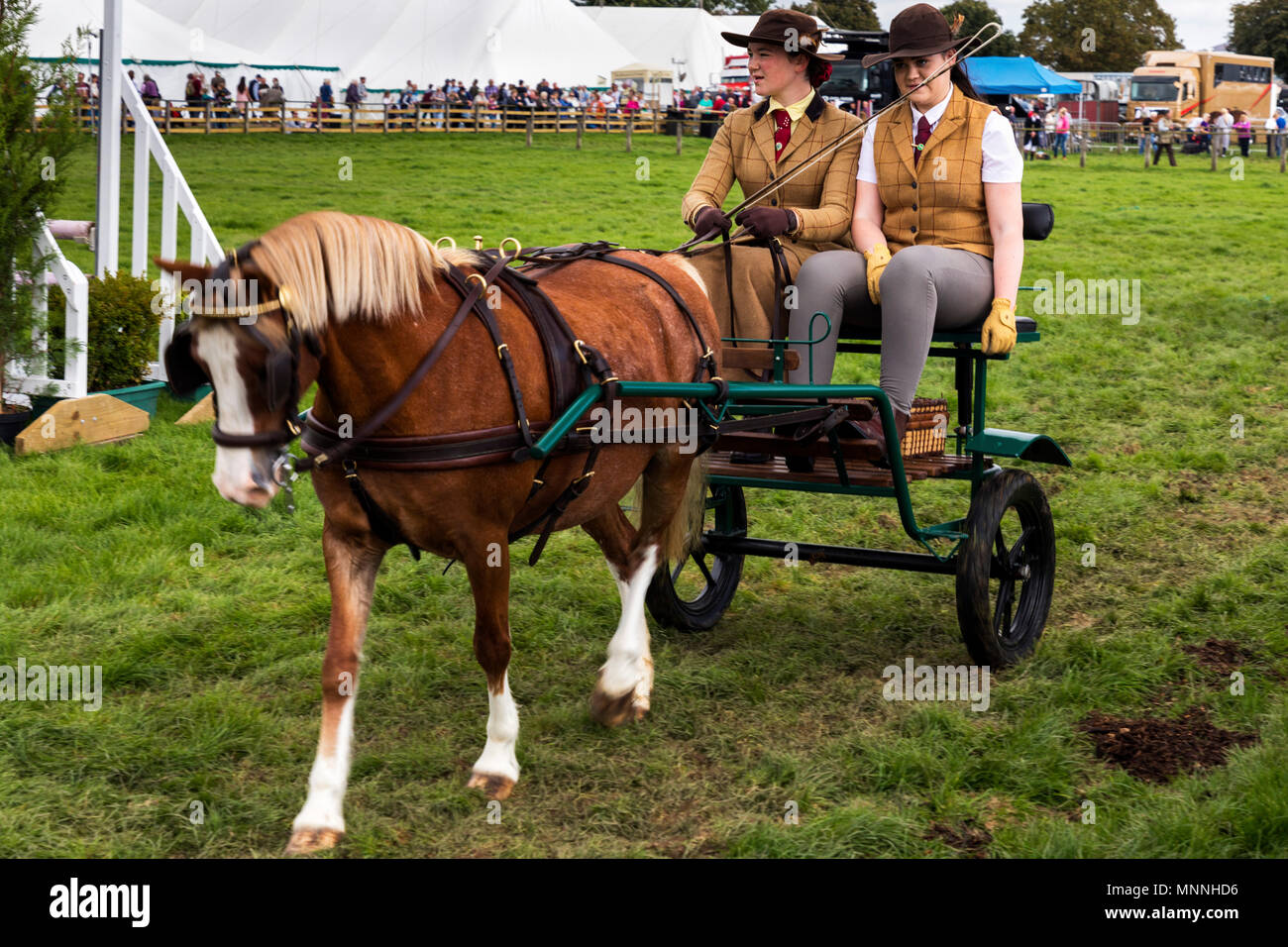 Traditional pony and trap hi-res stock photography and images - Alamy