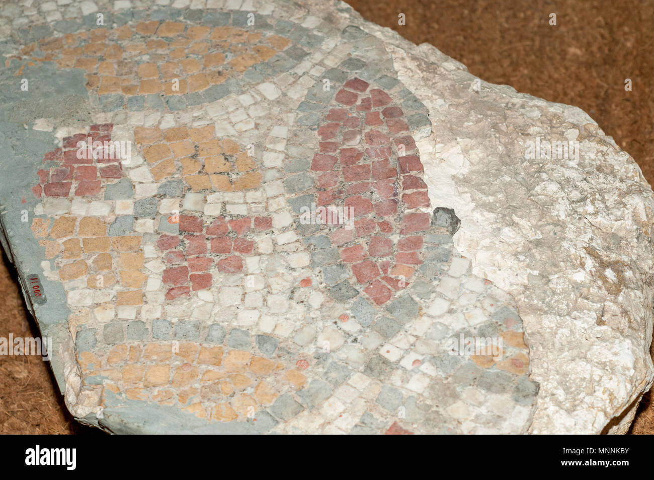 Roman mosaic pavement hi-res stock photography and images - Alamy