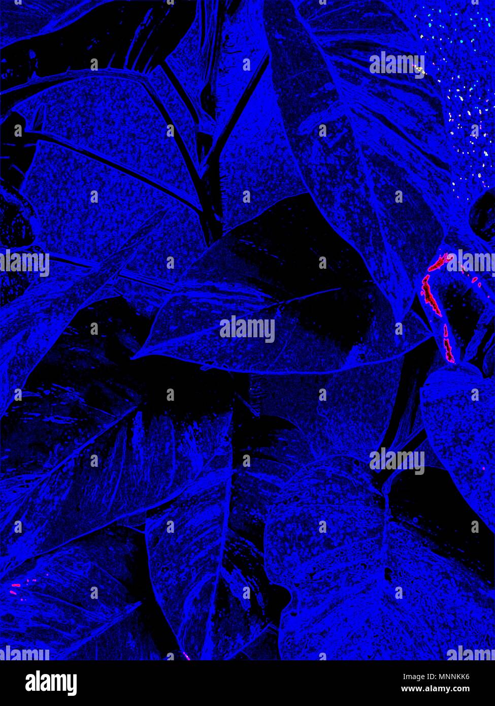 Abstract nature background Stock Photo - Alamy