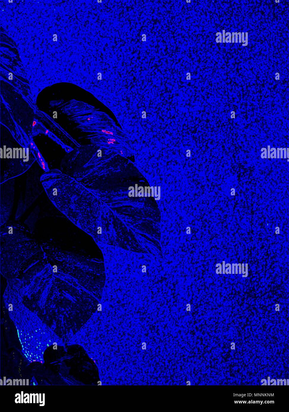 Abstract nature background Stock Photo - Alamy