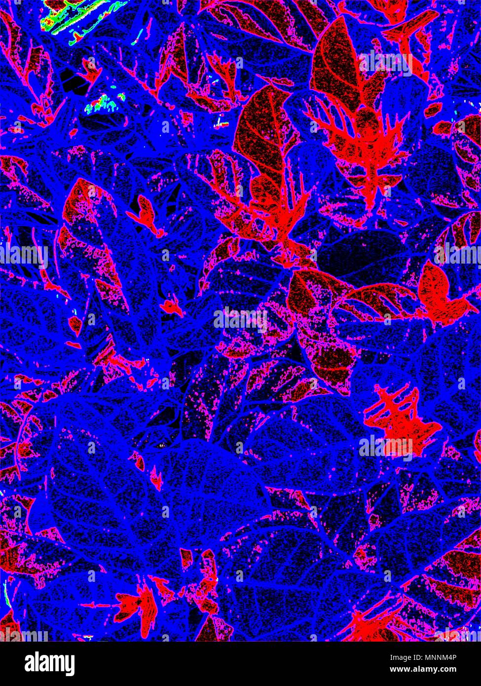 Abstract nature background Stock Photo - Alamy