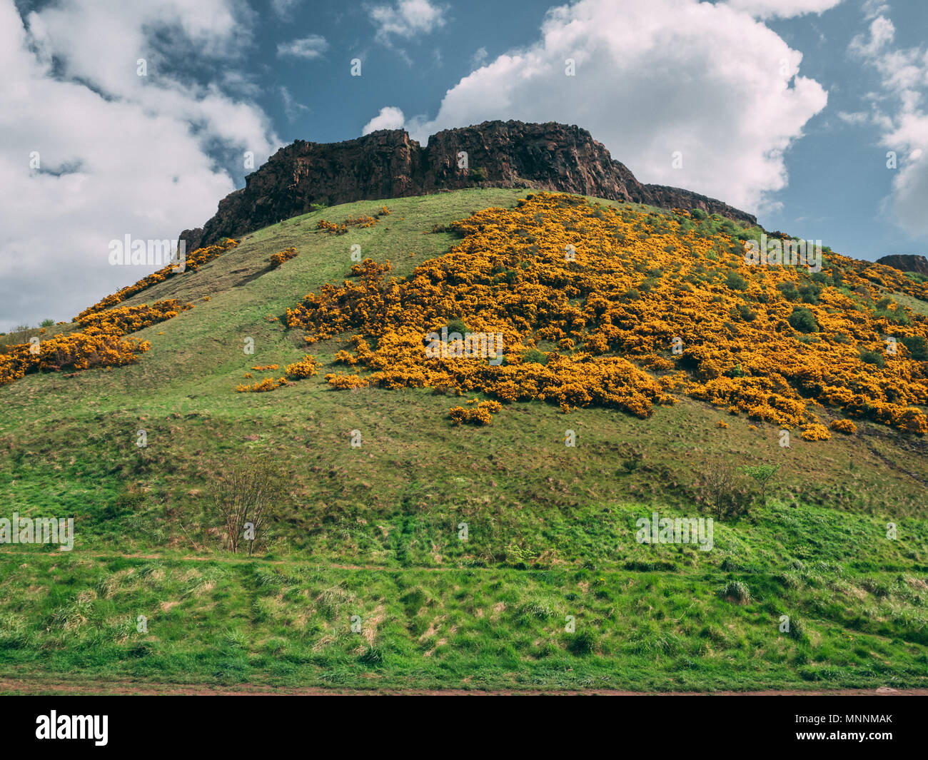Arthurs seat, Edinburgh Scotland spring Stock Photo - Alamy