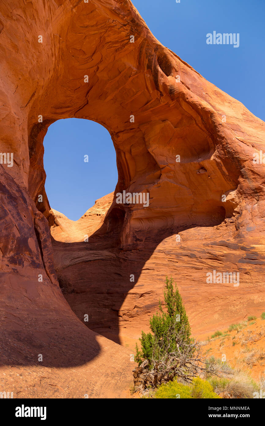 Ear if the wind. Pothole natural arch eroded in sandstone. Navajo ...