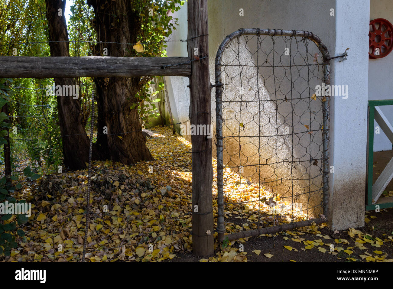 Autumn leaves and gate hi-res stock photography and images - Alamy