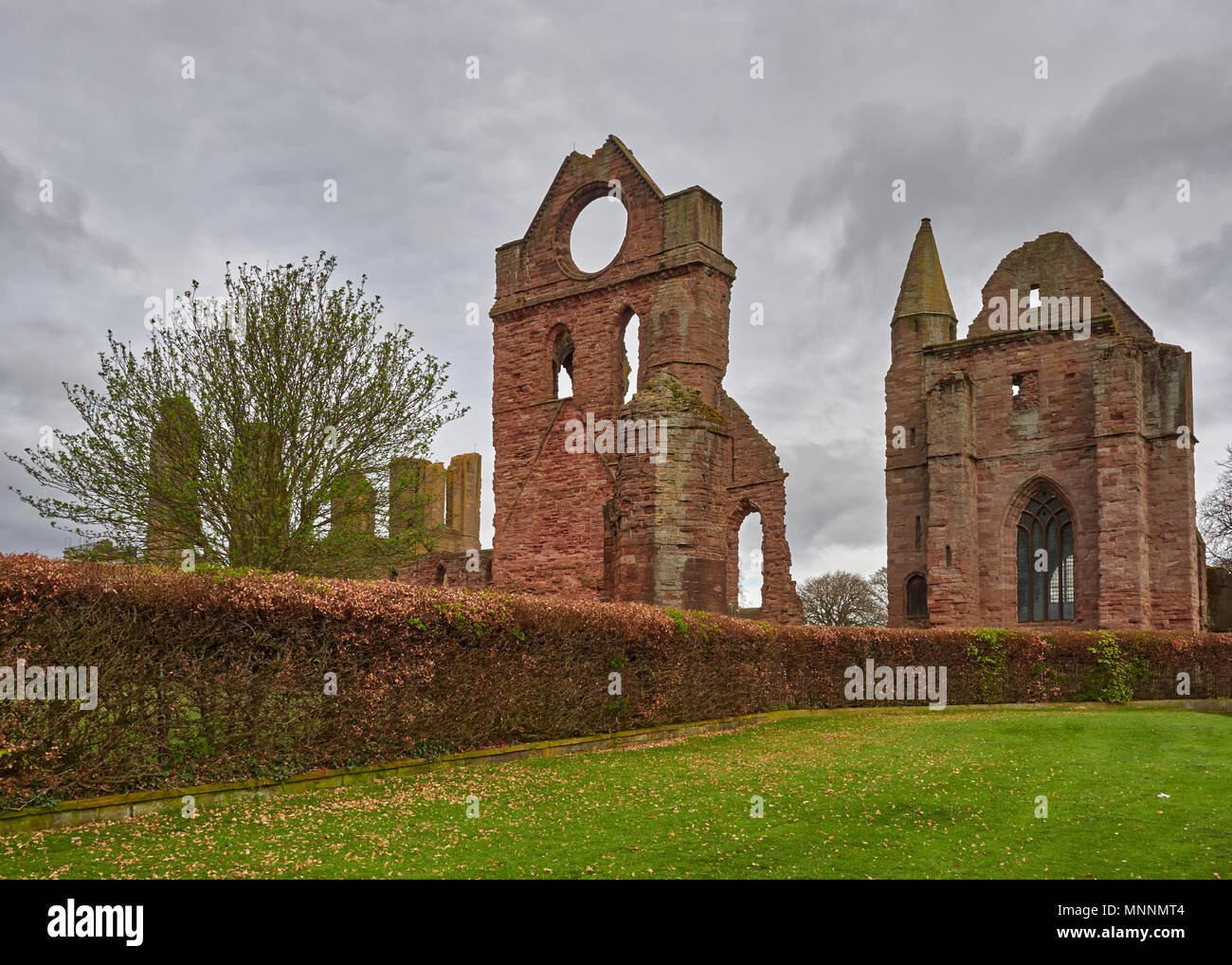 Arbroath abbey hi-res stock photography and images - Alamy