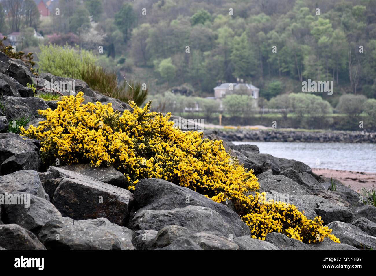 Inverkip coast scotland hi-res stock photography and images - Alamy