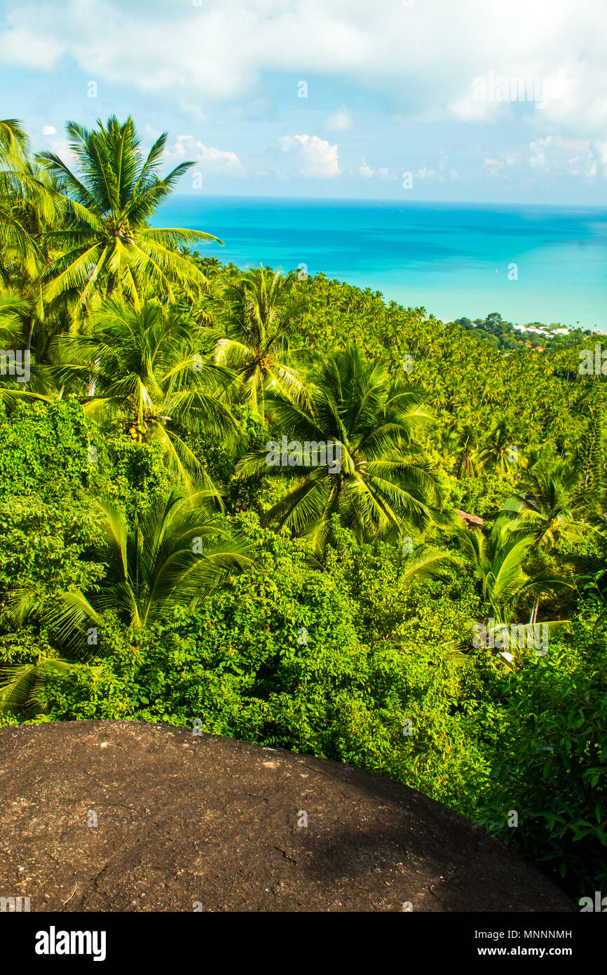 Beautiful viewpoint from Koh Samui in Thailand Stock Photo - Alamy