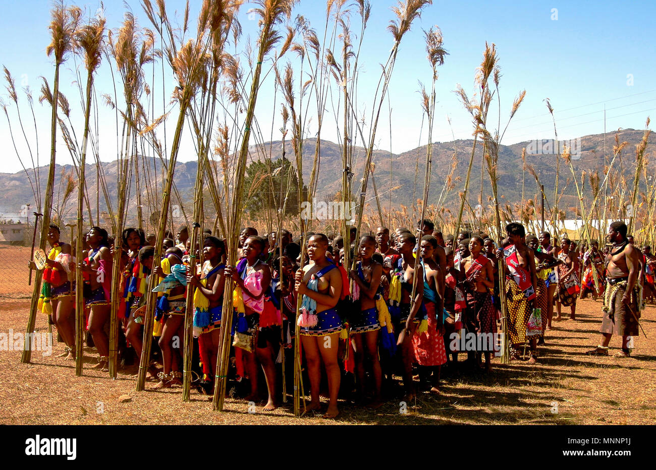 Women in traditional costumes marching at the Umhlanga aka Reed Dance ...