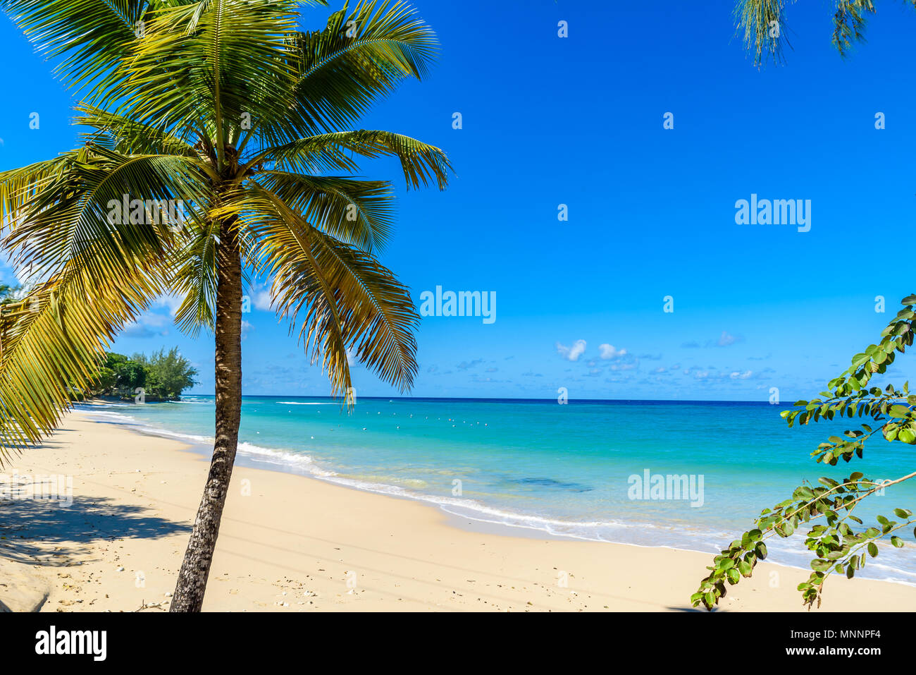 Mullins Beach - tropical beach on the Caribbean island of Barbados. It ...