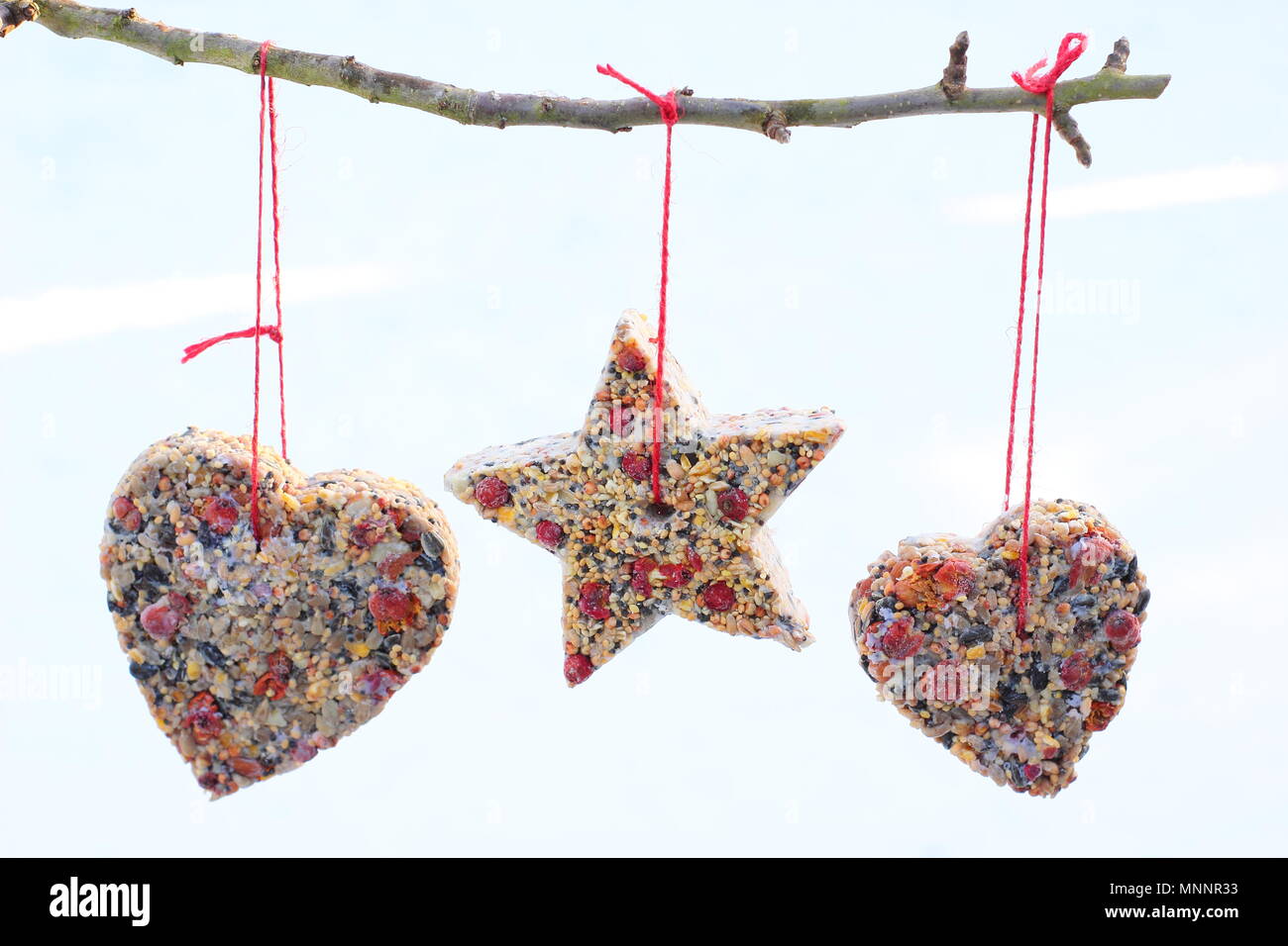 Star shape bird feeder hi-res stock photography and images - Alamy