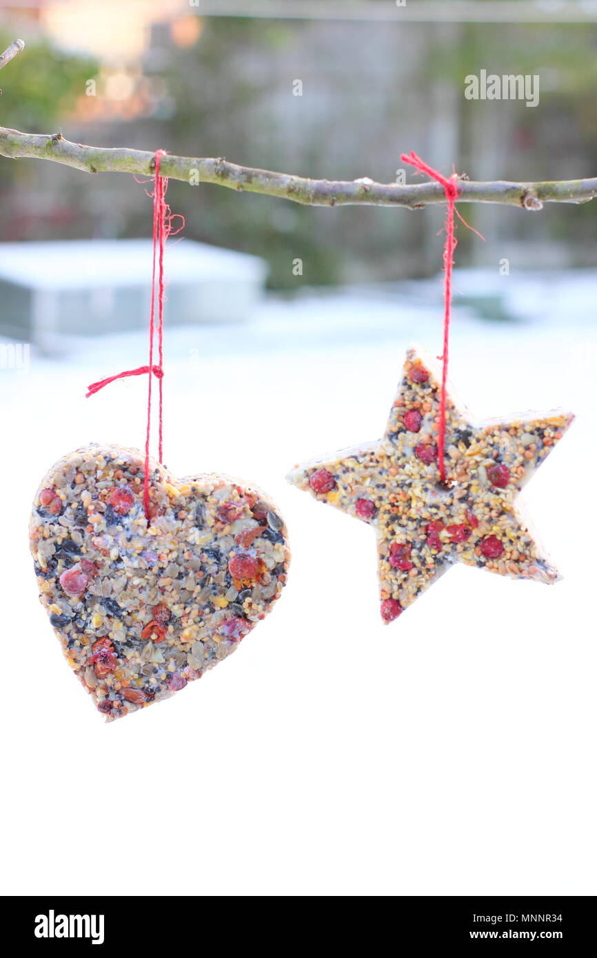 Star shape bird feeder hi-res stock photography and images - Alamy