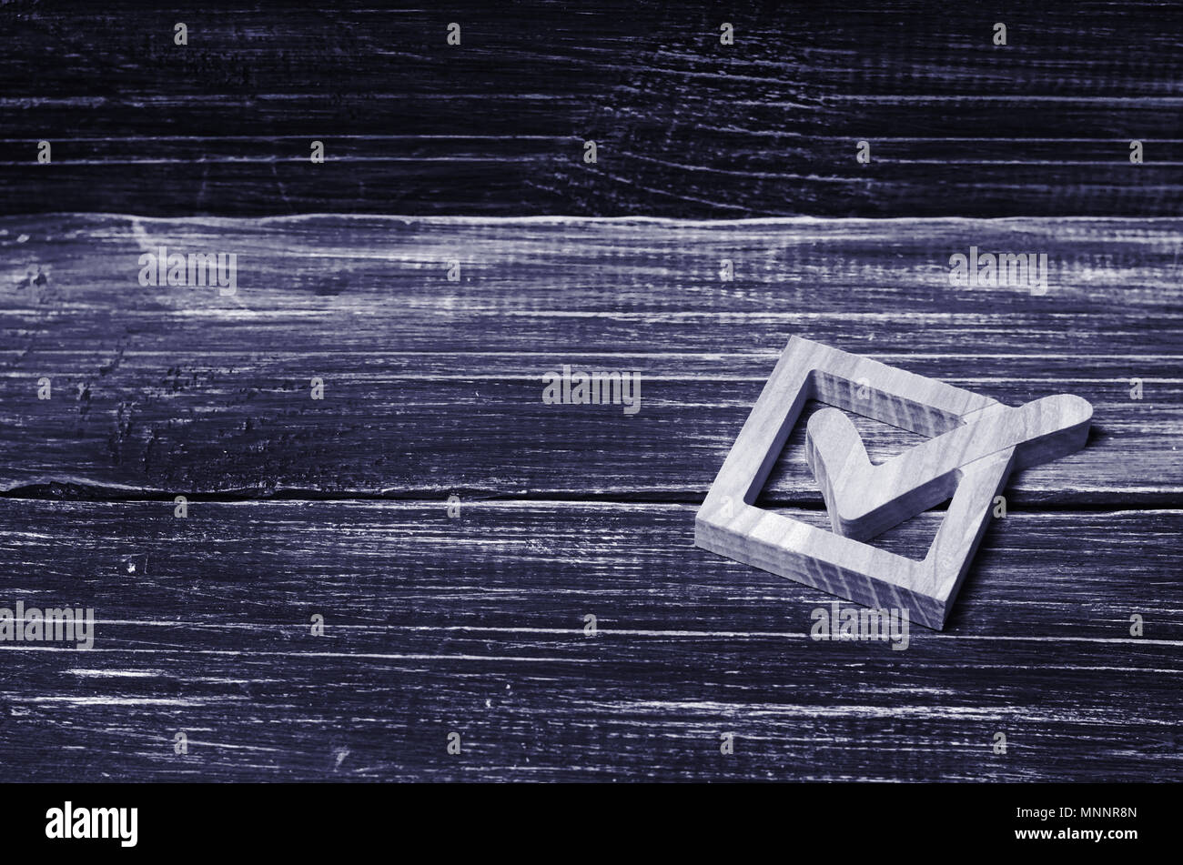 A tick in government elections. Choice of candidate. The democratic ...