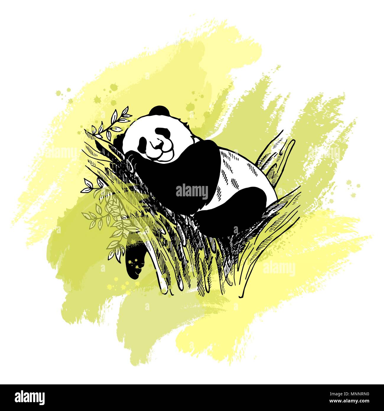 Panda Sleeping Drawing