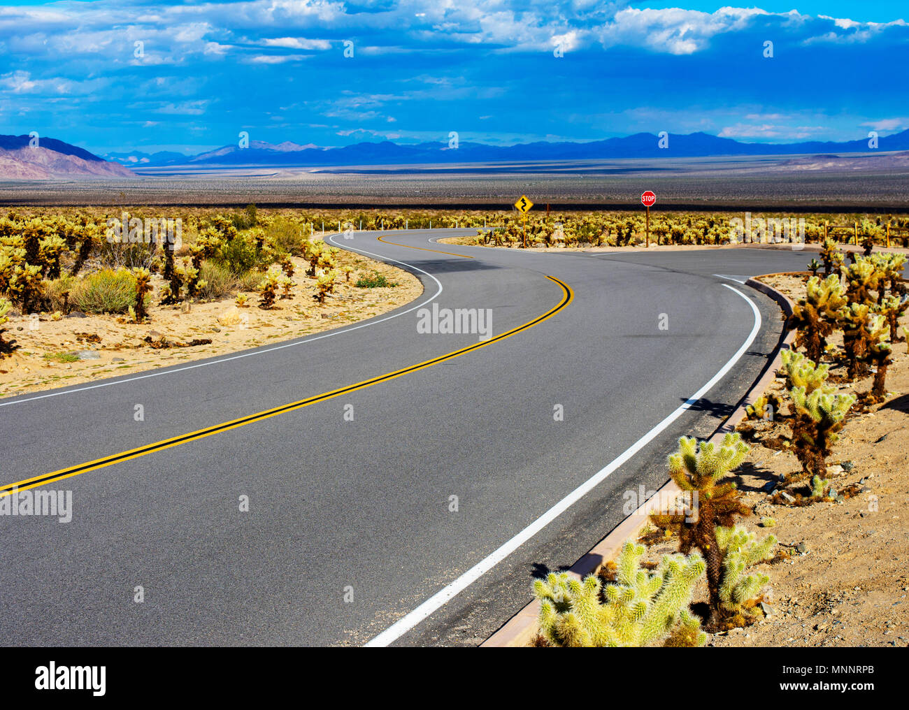 Desert Road Winding through Joshua Tree Ntional Park Stock Photo - Alamy