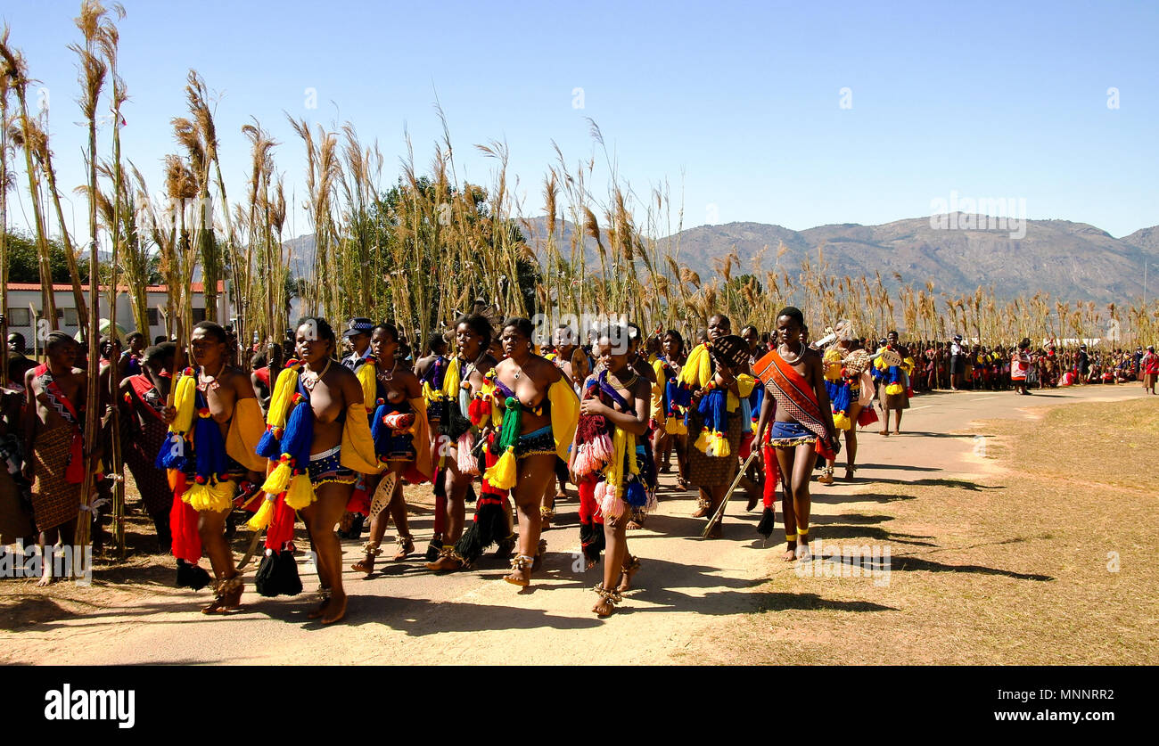 Women in traditional costumes marching at the Umhlanga aka Reed Dance ...