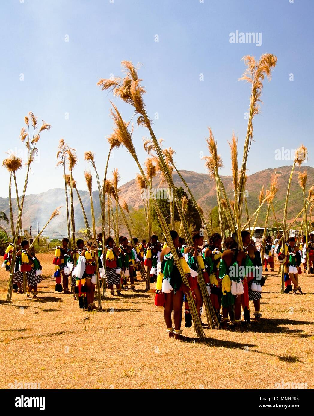 Swaziland reed dance hi-res stock photography and images - Alamy
