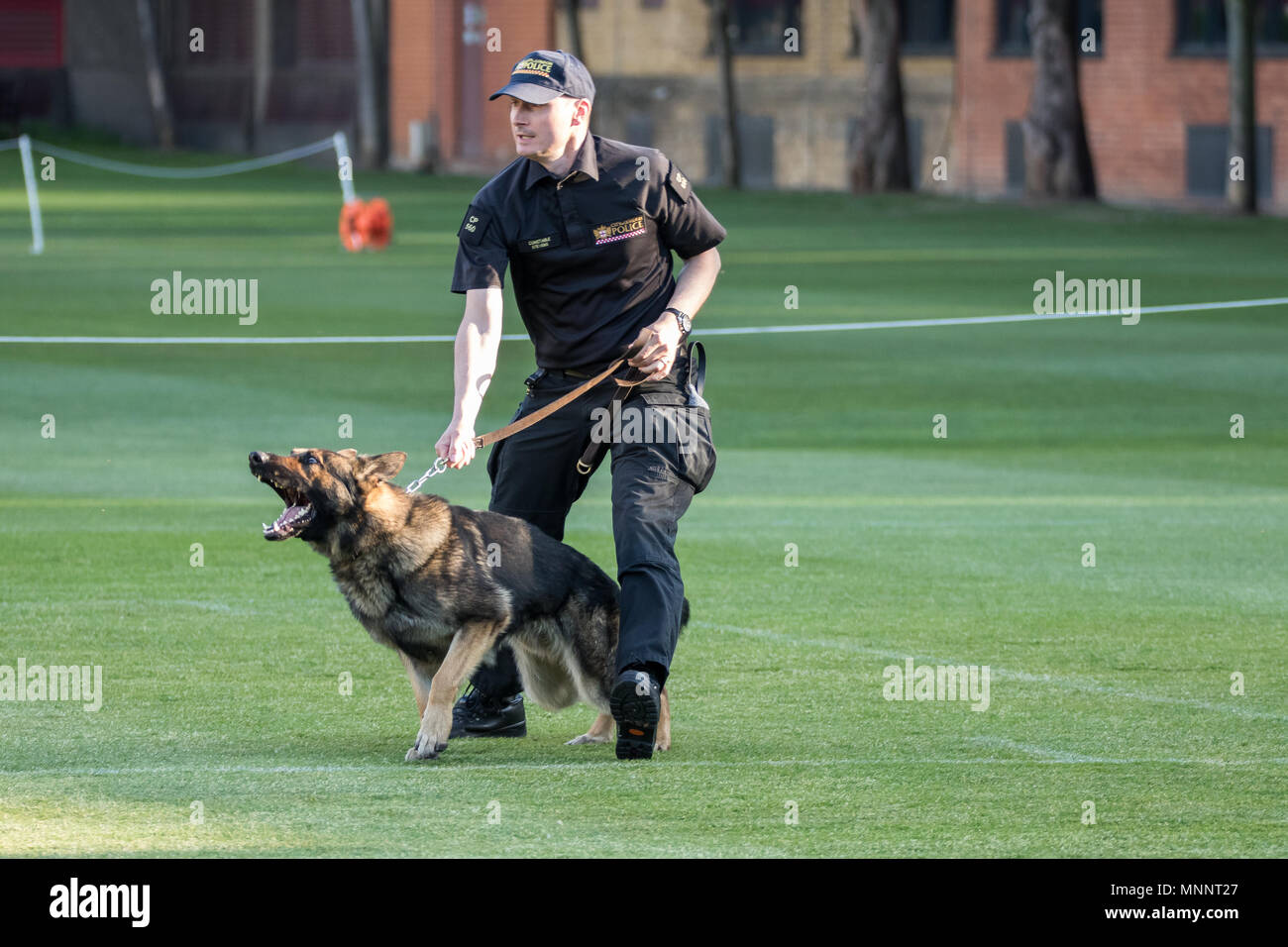 British police dog hi-res stock photography and images - Alamy